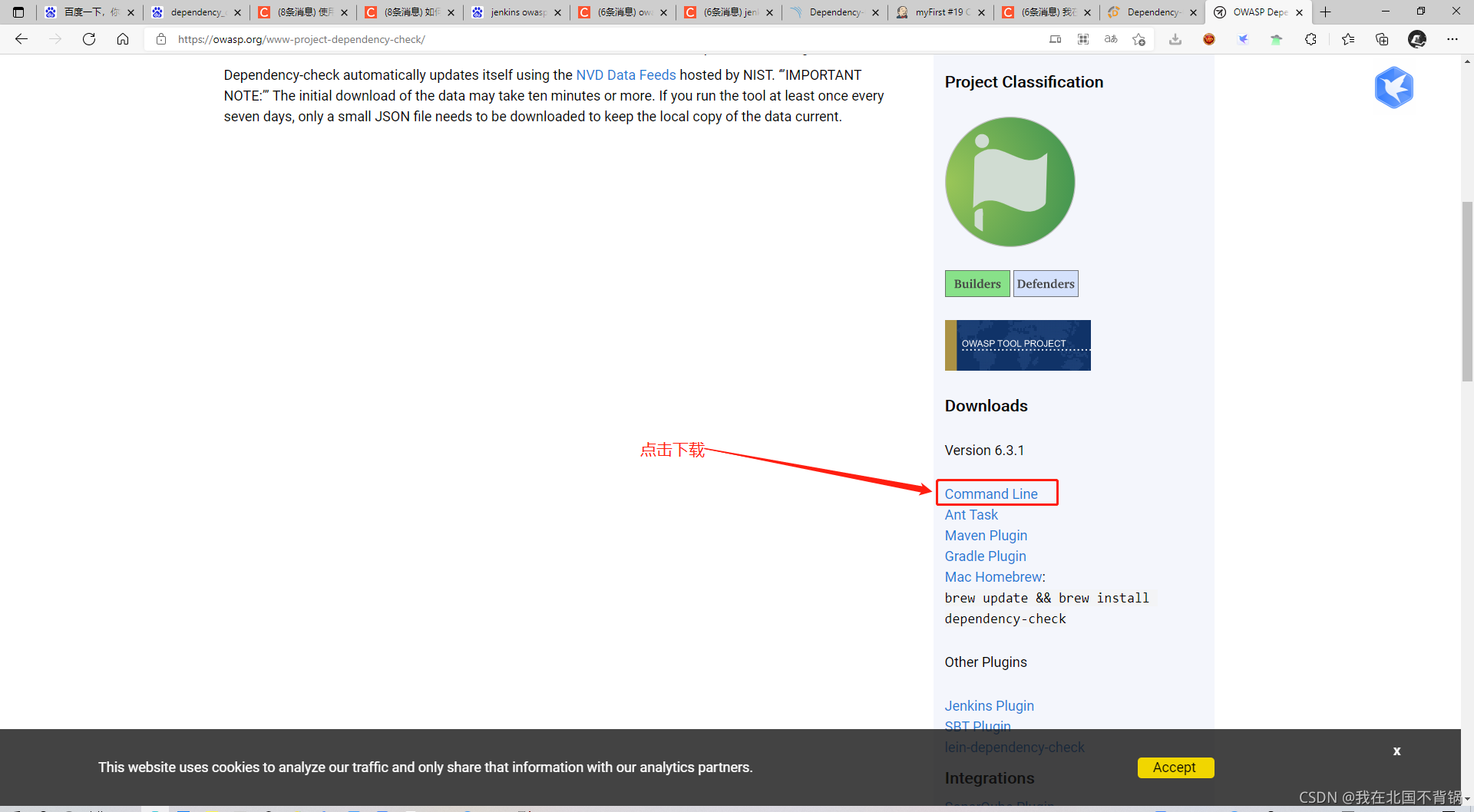 Jenkins集成OWASP Dependency-Check Plugin进行软件依赖安全扫描_dependency-check、 gitlab 、sanar 插件集成-CSDN博客