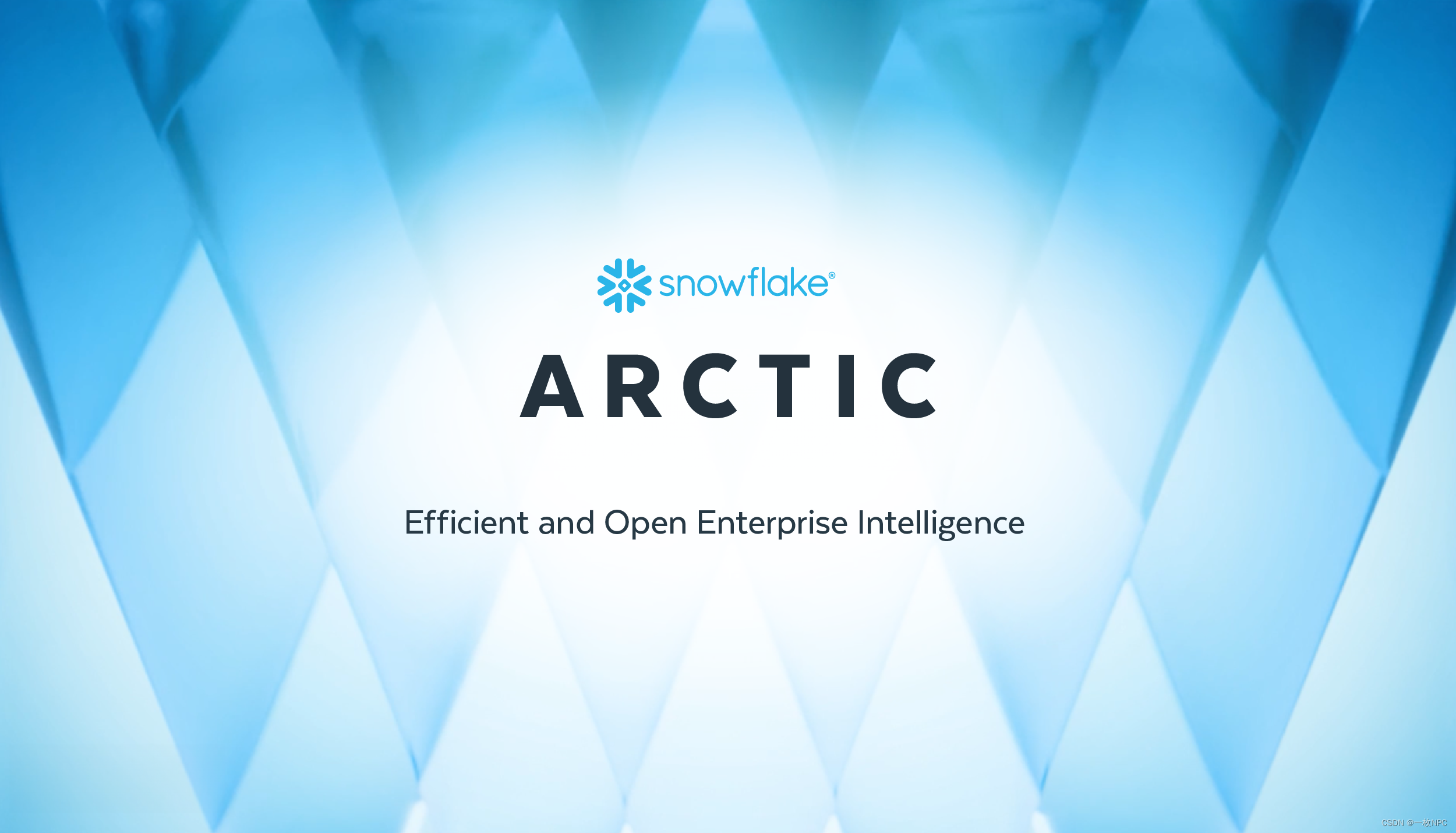 Snowflake Arctic: 企业人工智能的最佳LLMs——高效智能，真正开源_snowflake ai-CSDN博客