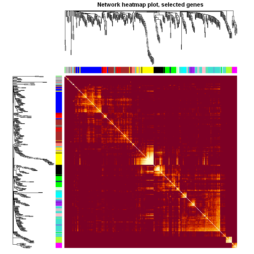 [R语言] WGCNA入门教程_r wgcna-CSDN博客