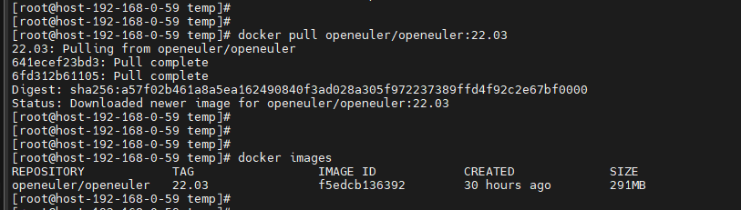 docker安装和运行openEuler容器_docker pull openeuler-CSDN博客