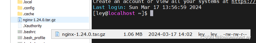 【RedHat9.0】使用源代码安装软件——源代码安装nginx_红帽9 tar 在那个工具包里-CSDN博客