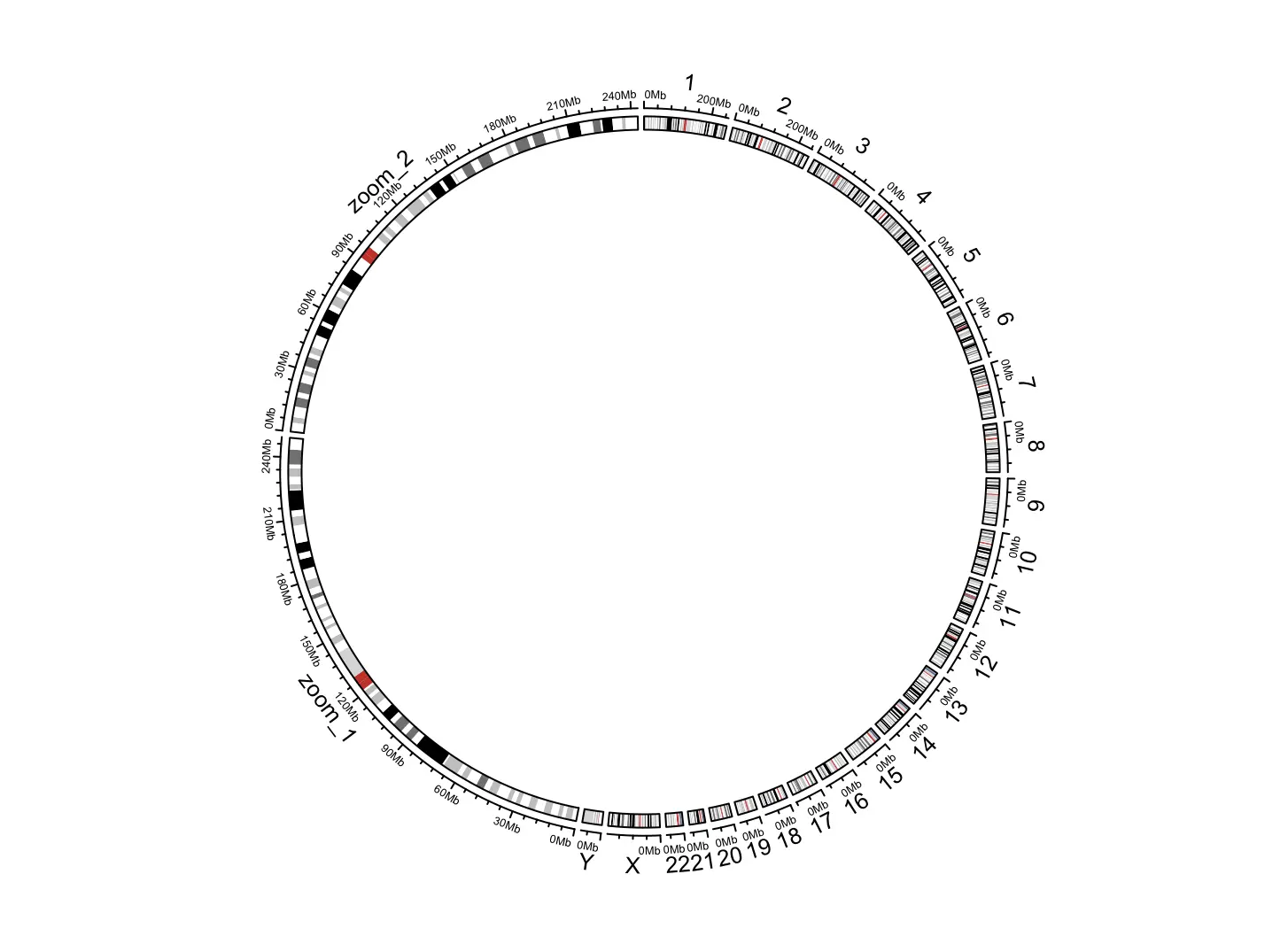 R 数据可视化 —— circlize 基因组初始化_circos.genomictrack-CSDN博客