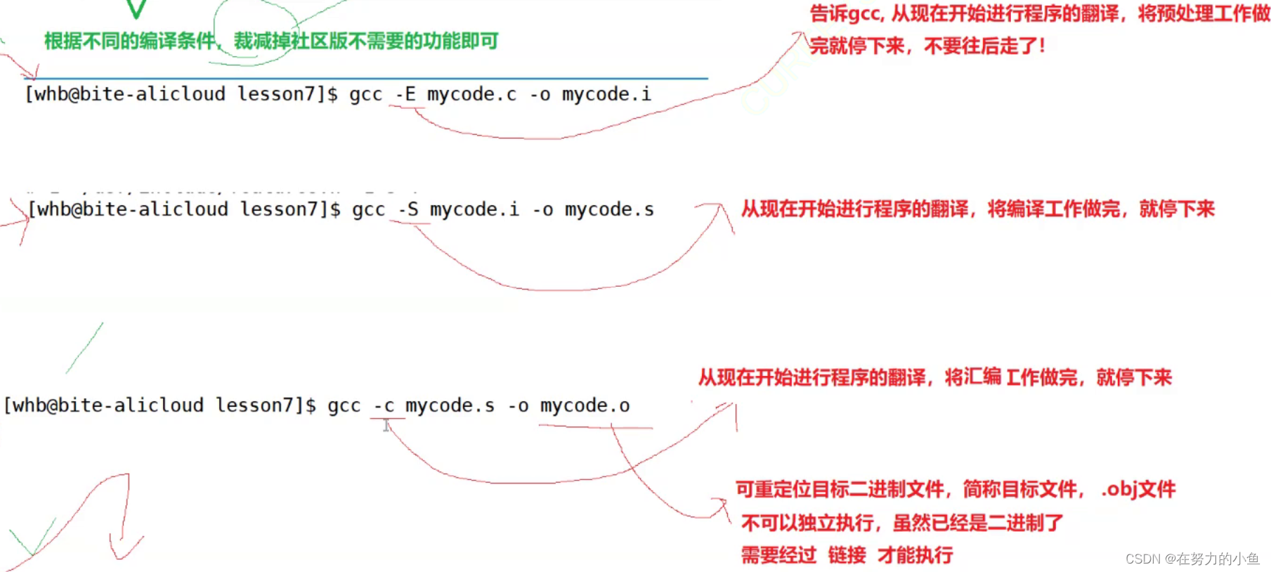 Linux gcc的使用_gcc -o命令-CSDN博客