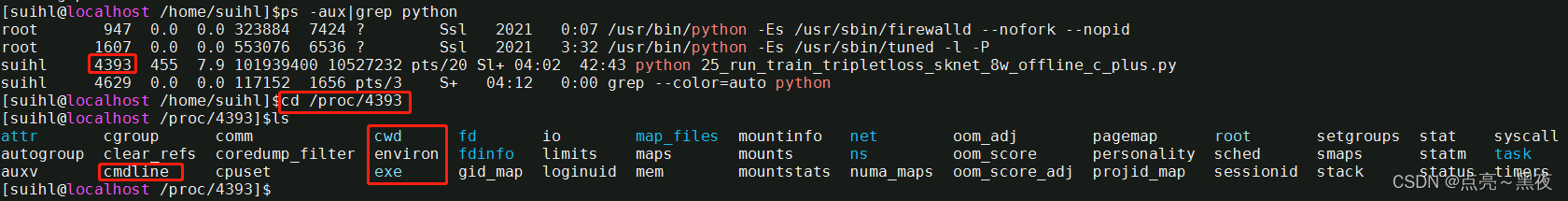 linux上根据运行程序的进程号，查看程序所在的绝对路径。linux查看进程启动的时间_linux ps -ef|grep python怎么打印出服务的绝对路径-CSDN博客
