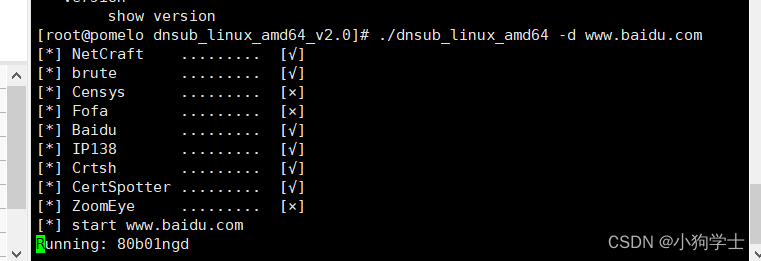 CORSscanner&burp的插件jsonp-hunter&dnsub_jsonphunter-CSDN博客