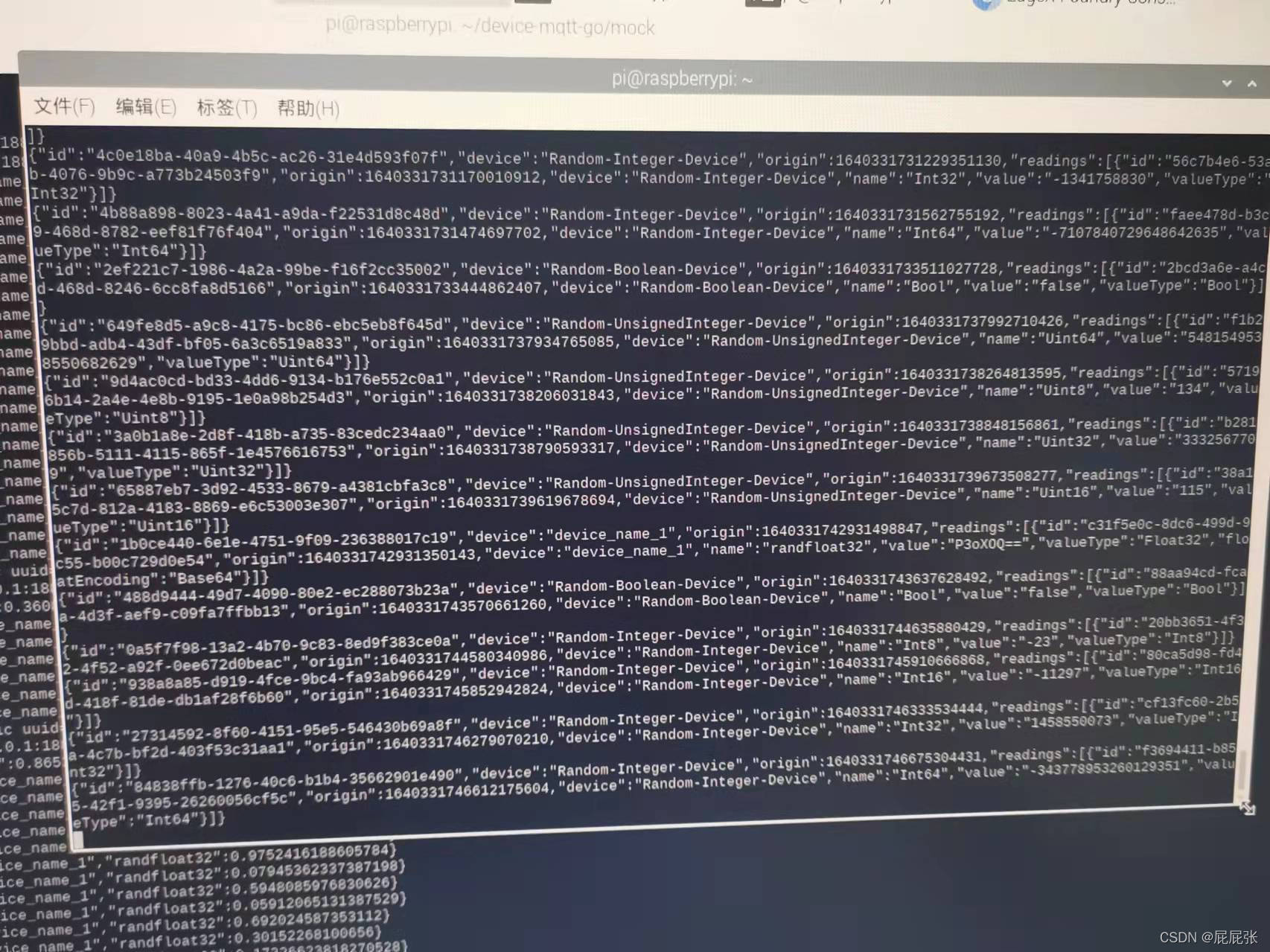 树莓派4B+EdgeX+MQTT的填坑之旅_edgex南北打通-CSDN博客