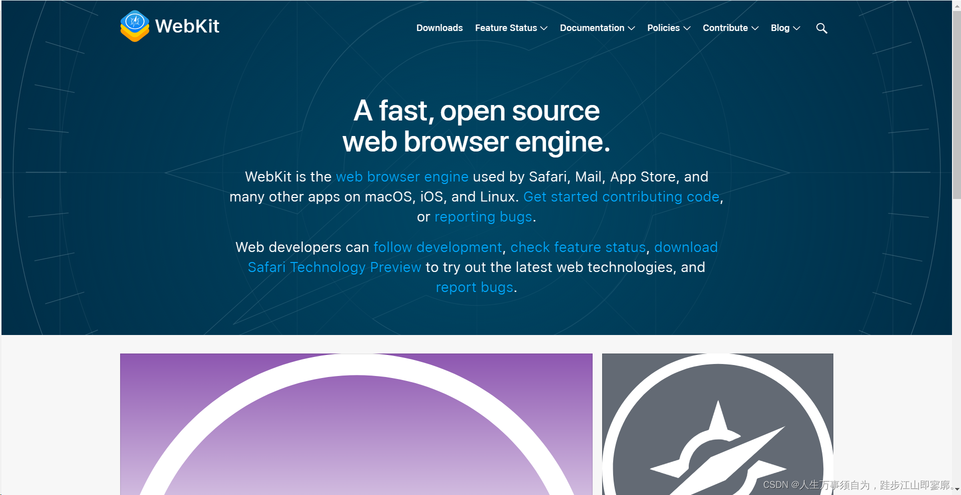 WebKit组件精选：挑选适合你项目的浏览器核心功能_webkit功能选项详解-CSDN博客