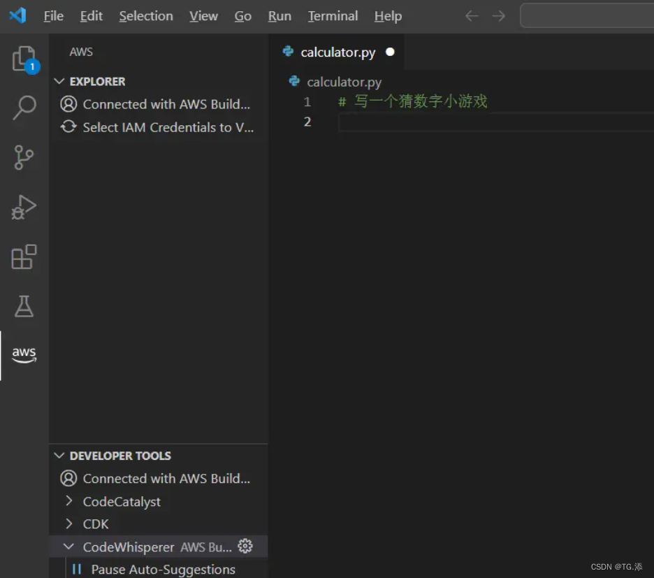 Ai编程助手探索之旅:amazon Codewhisperer 提高编程效率的利器vscode Code Whisperer Csdn博客