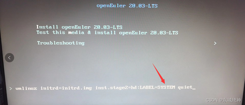 《Linux运维总结：安装OpenEuler20.03系统时卡在Reached target Basic System》-CSDN博客