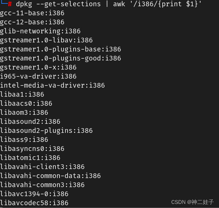 删除Kali Linux多余的系统架构_不支持 'i386' 体系结构-CSDN博客