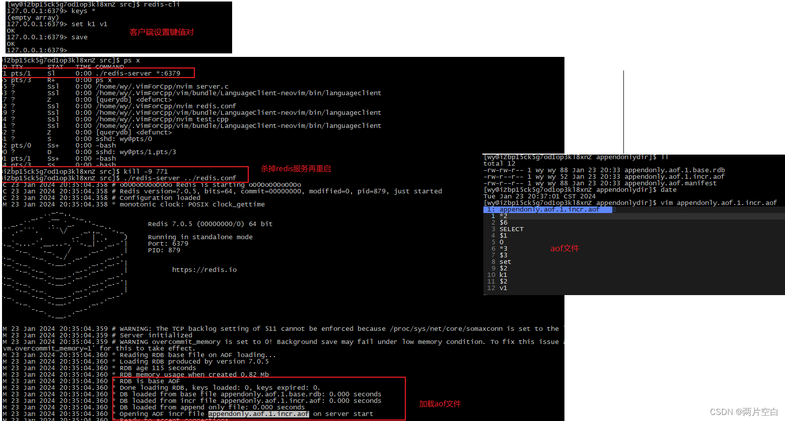 Redis数据库——AOF持久化_appendonly.aof.1.base.rdb-CSDN博客