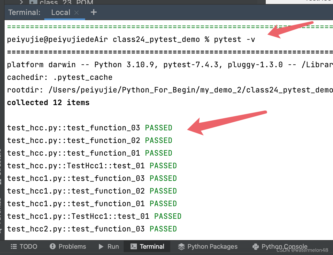 Pytest——接口自动化_pytest接口自动化-CSDN博客