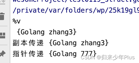 go 语言（九）----struct-CSDN博客