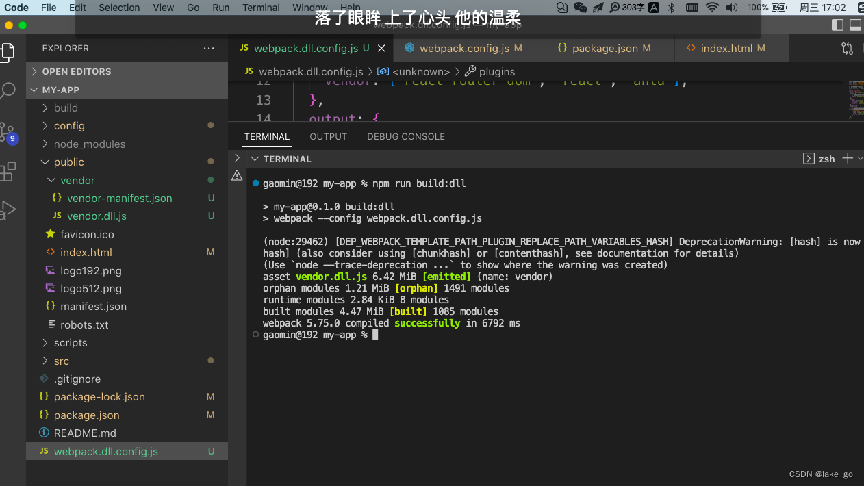 react 项目 中 使用 Dllplugin 打包优化_npm run build:dll-CSDN博客