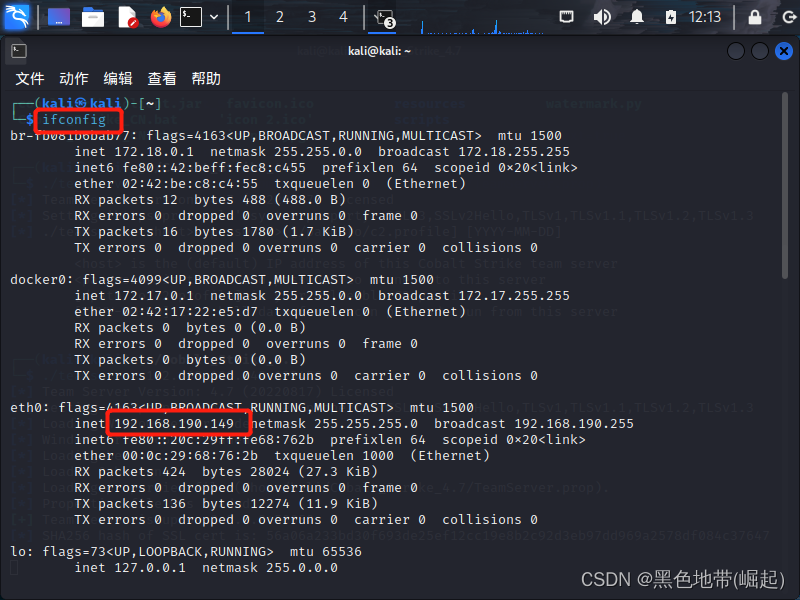 【内网安全-CS】Cobalt Strike启动运行&上线方法&插件_如何在本地打开cobalt strike-CSDN博客