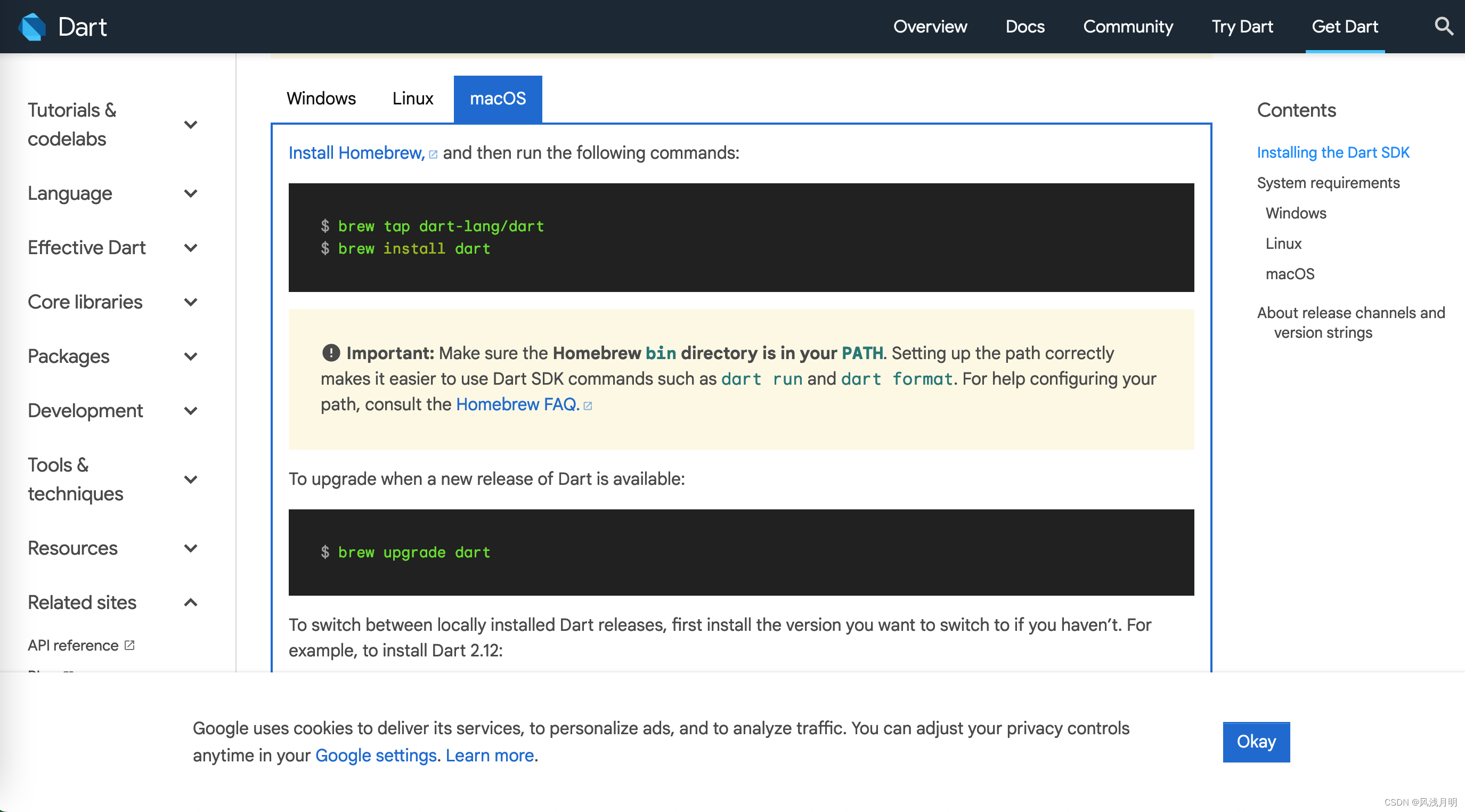 Mac电脑配置Dart编程环境_dart sdk-CSDN博客