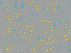 【GitHub项目推荐--DiligentEngine: 一个开源跨平台的底层图形库和渲染框架】【转载】_diligent engine-CSDN博客