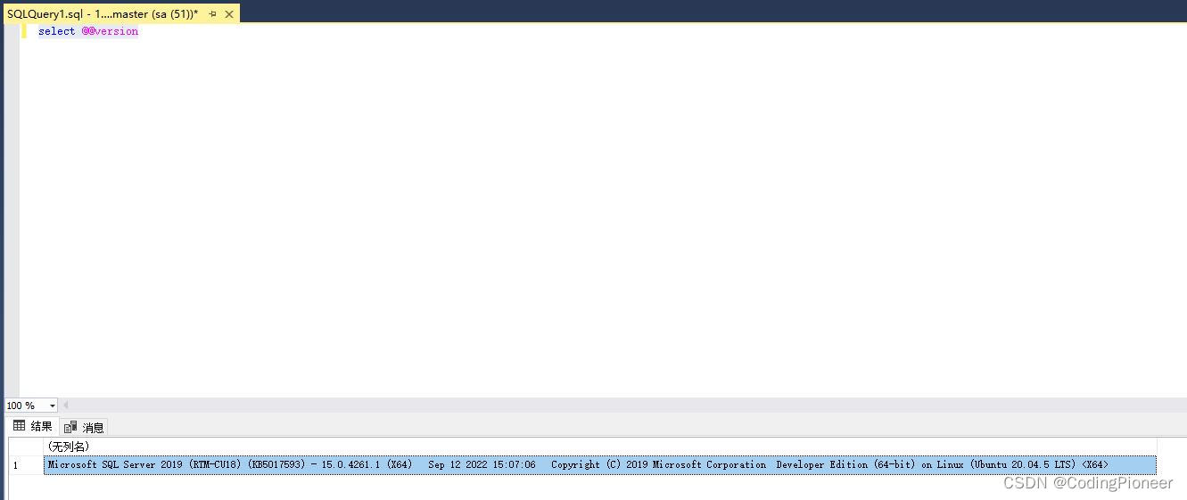 群晖docker部署microsoft Sql Server 2019docker安装sqlserver2019 Csdn博客 2091