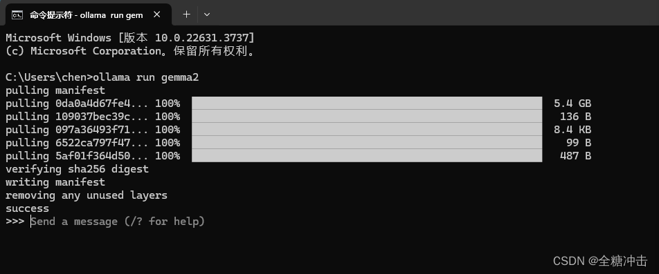 在Windows上安装和部署Google Gemma 2开源大模型 AI 工具_gemma2部署-CSDN博客