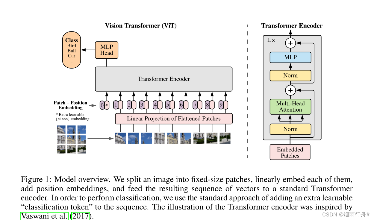TransReID学习记录-CSDN博客