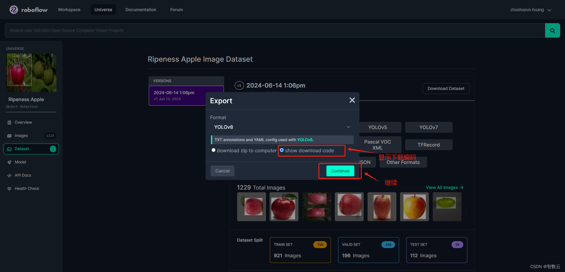【深度学习01】使用 Roboflow对YOLO数据集标注与训练及下载-CSDN博客