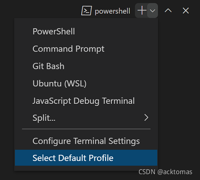 Vscode使用问题集锦_terminal.integrated.automationprofile.osx-CSDN博客