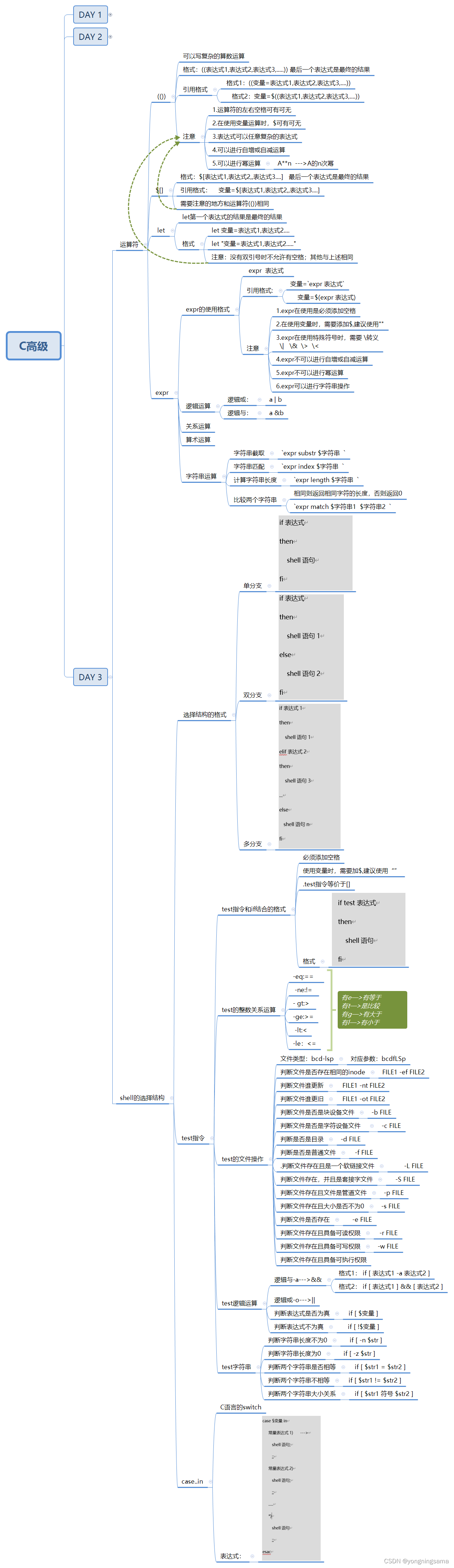 C高级 day3-CSDN博客