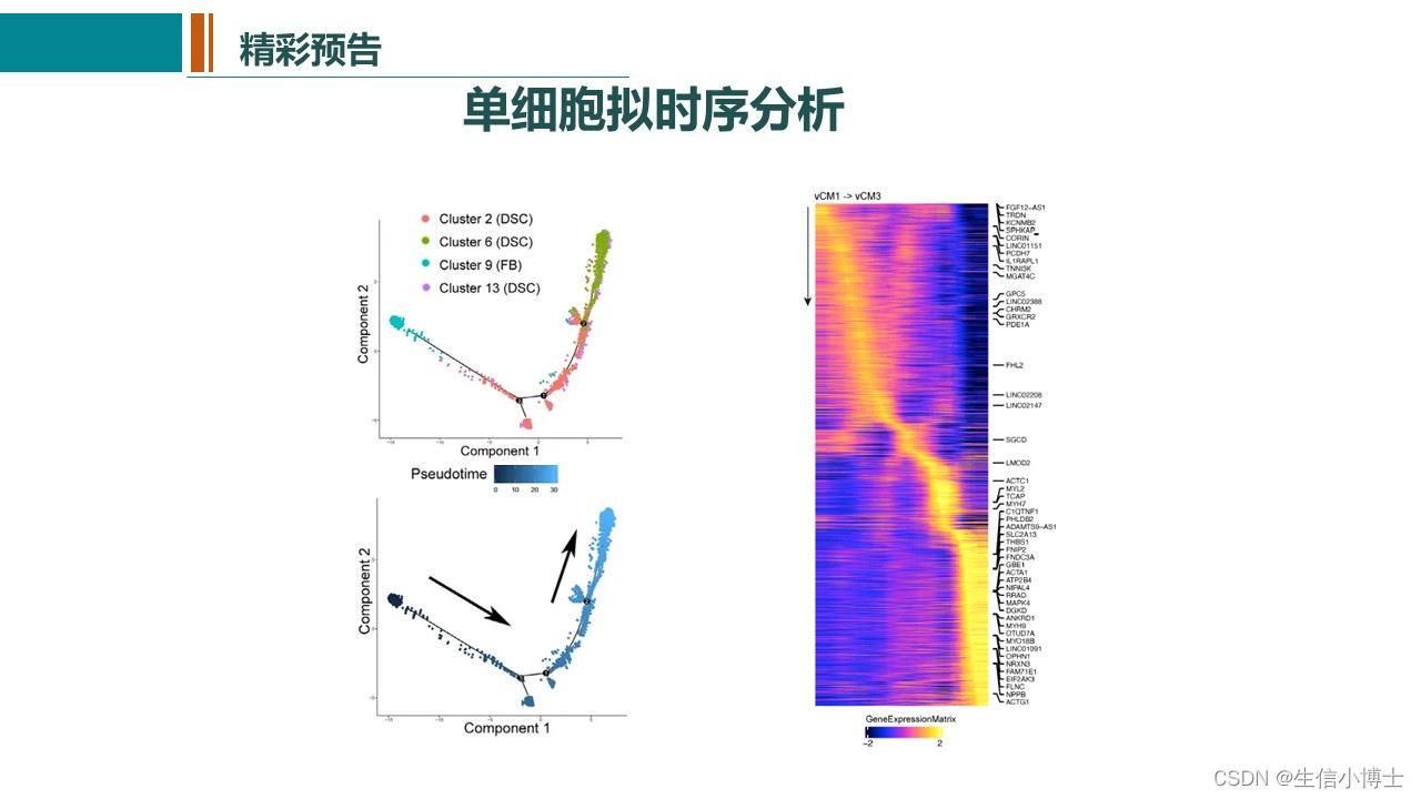 2023-11-28-直播单细胞图表美化-seurat数据结构 featureplot dotplot vlnplot_nebulosa如何 ...