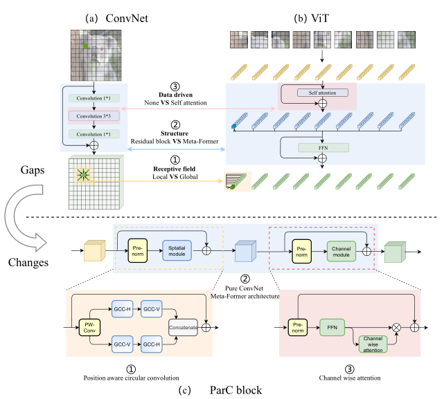 【读点论文】ParC-Net: Position Aware Circular Convolution with Merits from ConvNets and Transformer混合 ...