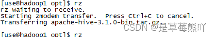 rz waiting to receive. Starting zmodem transfer. Press Ctrl+C to cancel ...