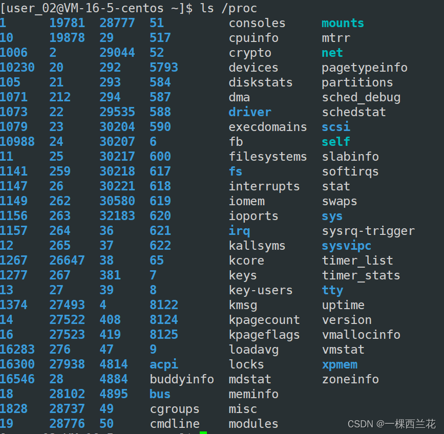 Linux：创建进程 -- fork，到底是什么？_linux fork 初衷-CSDN博客