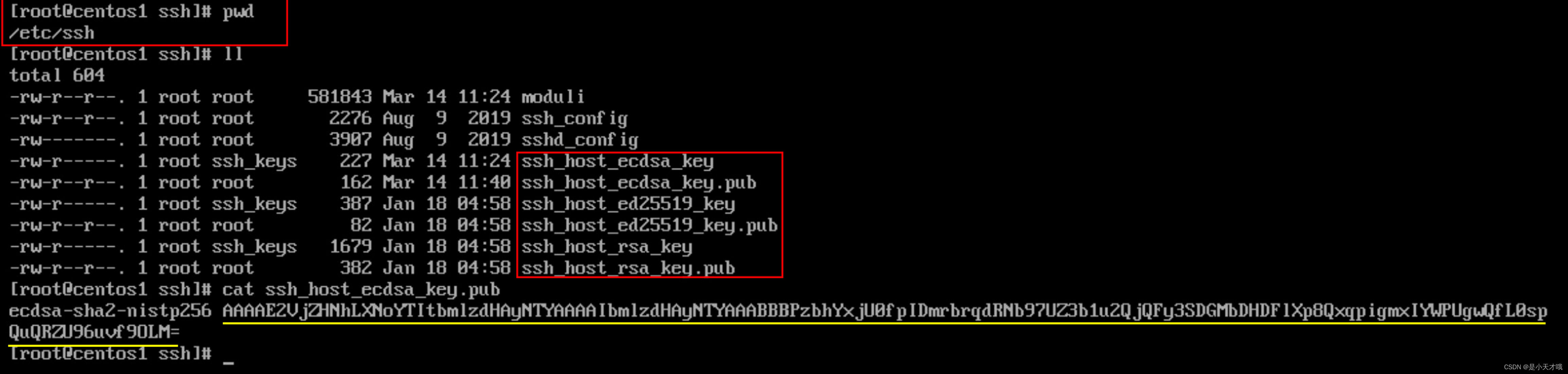 百战RHCE（第十六战：Linux进阶命令十三-SSH远程登陆极简管理）_ssh-agent -s-CSDN博客