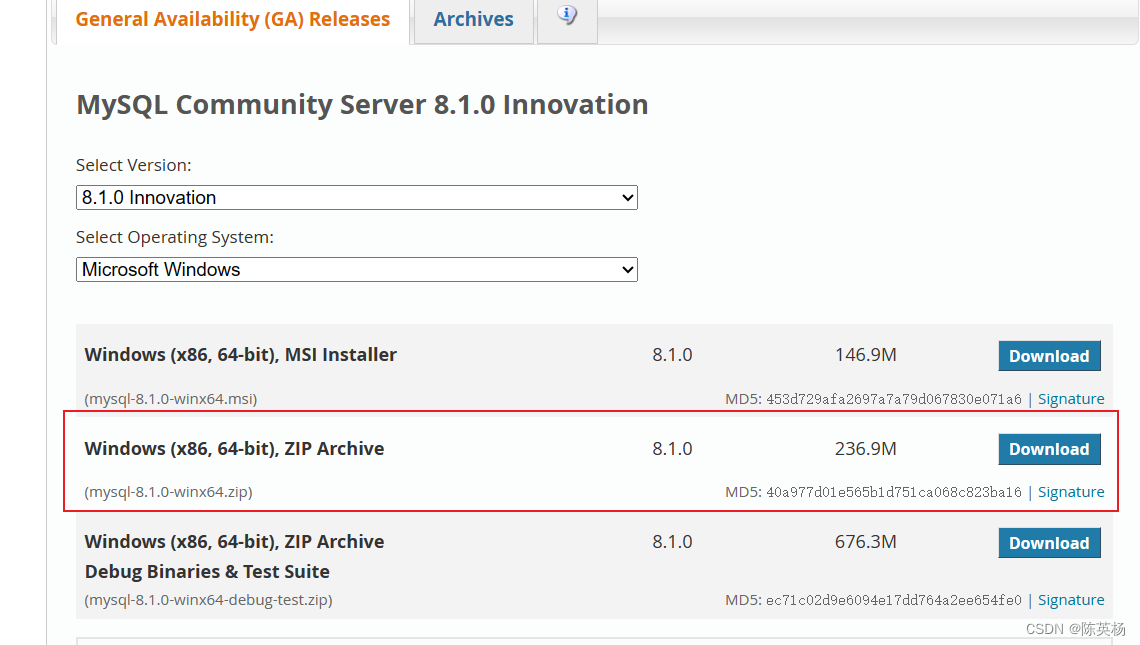 Window系统如何更快更有效的安装最新版Mysql呢?_windows server 安装mysql 8.1.0-CSDN博客