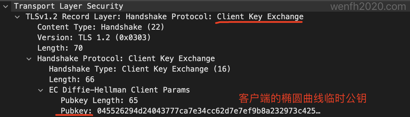 浅析 TLS（ECDHE）协议的握手流程（图解）_tls ech-CSDN博客