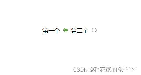 设置input radio选中颜色_input radio 选中颜色-CSDN博客