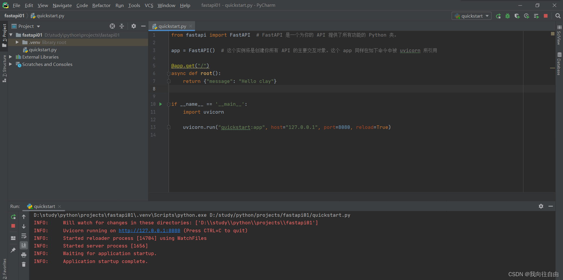 【最快入门】一篇文章学会Python最快框架fastapi_python fastapi教程-CSDN博客