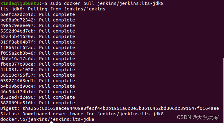 手把手教学Ubuntu20通过Docker部署Jenkins_ubuntu 通过docker安装 jenkins自动化部署-CSDN博客