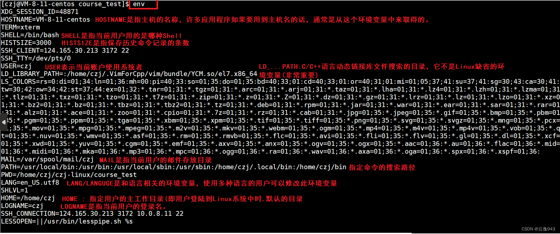 Linux环境变量_muval-CSDN博客