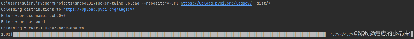 10分钟制作开源pip包_pypi 制作-CSDN博客