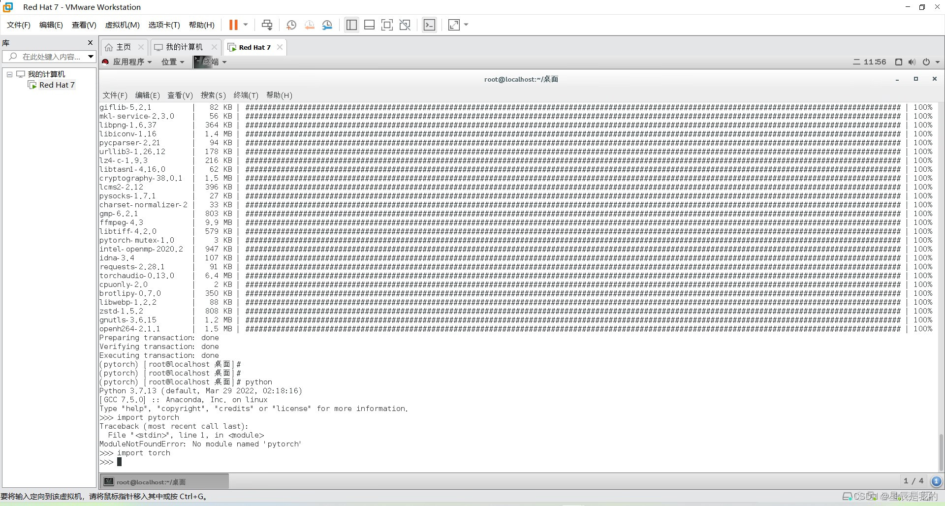 RedHat安装anaconda，pycharm以及pytorch等深度学习环境-CSDN博客
