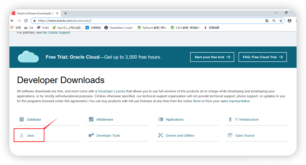 Windows10 系统 JDK 下载及安装说明_windows下载那个java-CSDN博客