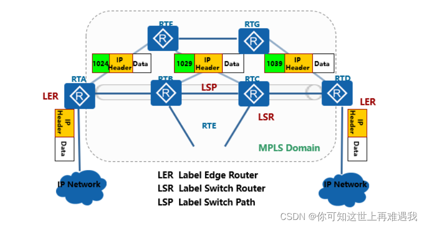 华为HCIA进阶笔记：MPLS 基本原理_华为mpls-CSDN博客