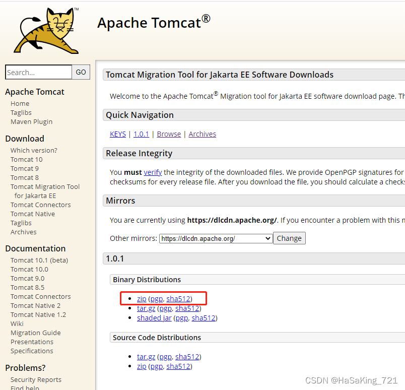 Tomcat 8 升级为 Tomcat10（踩坑记录）-CSDN博客
