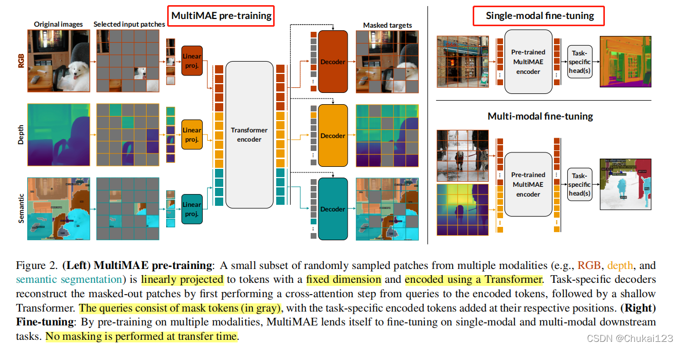 MultiMAE：多模式多任务掩码自编码器-CSDN博客