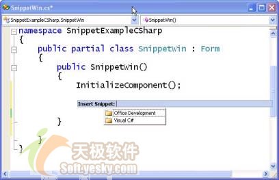 VS2005中用Code Snippets提高开发效率_jasmine es5 code snippets-CSDN博客