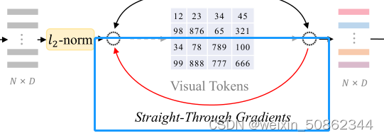 【论文笔记】BEIT V2: Masked Image Modeling with Vector-Quantized Visual Tokenizers-CSDN博客