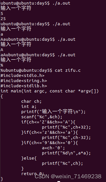 c基础day5-CSDN博客