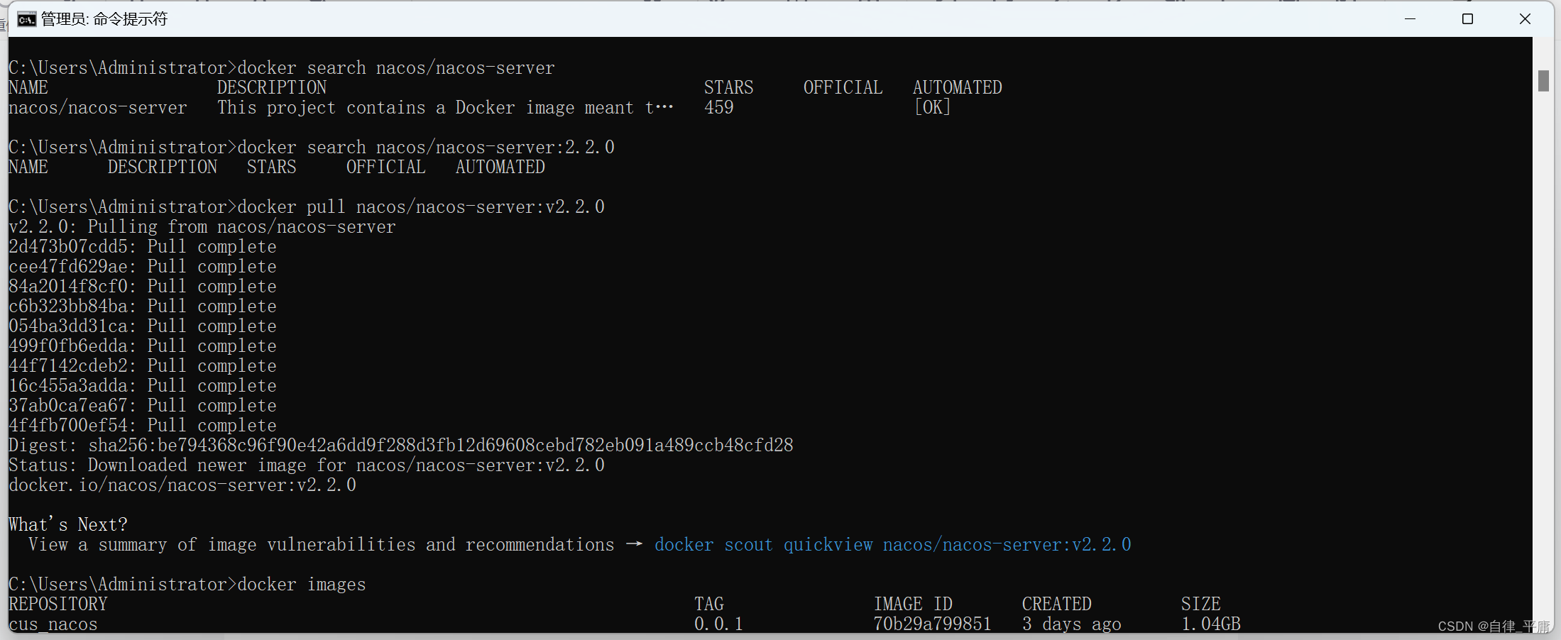 windows系统docker安装nacos-server2.2.0版本服务并启动_nacos server windows版-CSDN博客