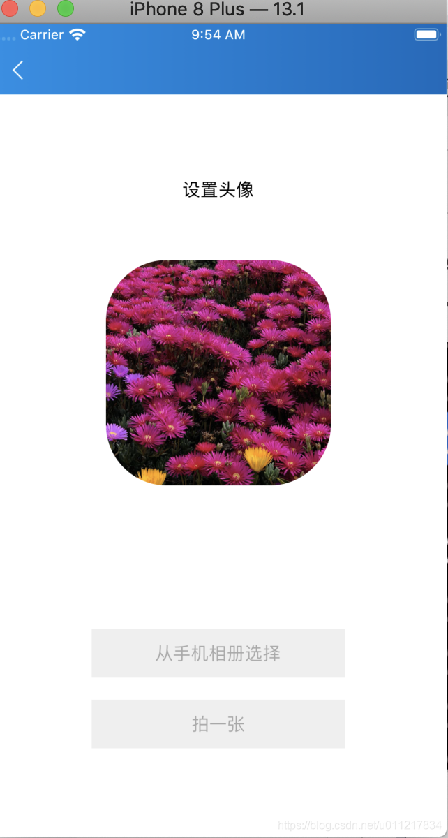 iOS 使用xib布局 适配各机型遇到的小问题_ios xib适配机型-CSDN博客