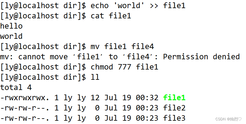 Linux权限_linux chmod o+rwx-CSDN博客